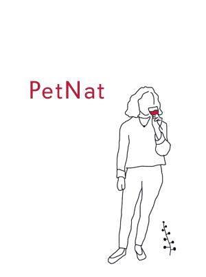 Sekt & Champagner - nach Art & Herkunft - PetNat - Shop: Kategorie ...